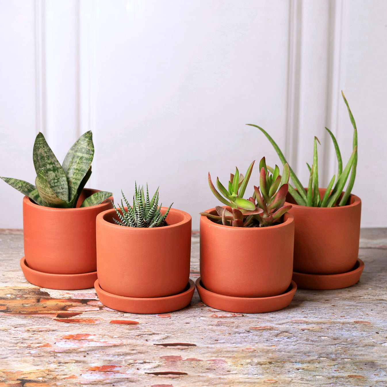 Sage Terracotta Planters (Set of 4) – Garden Up