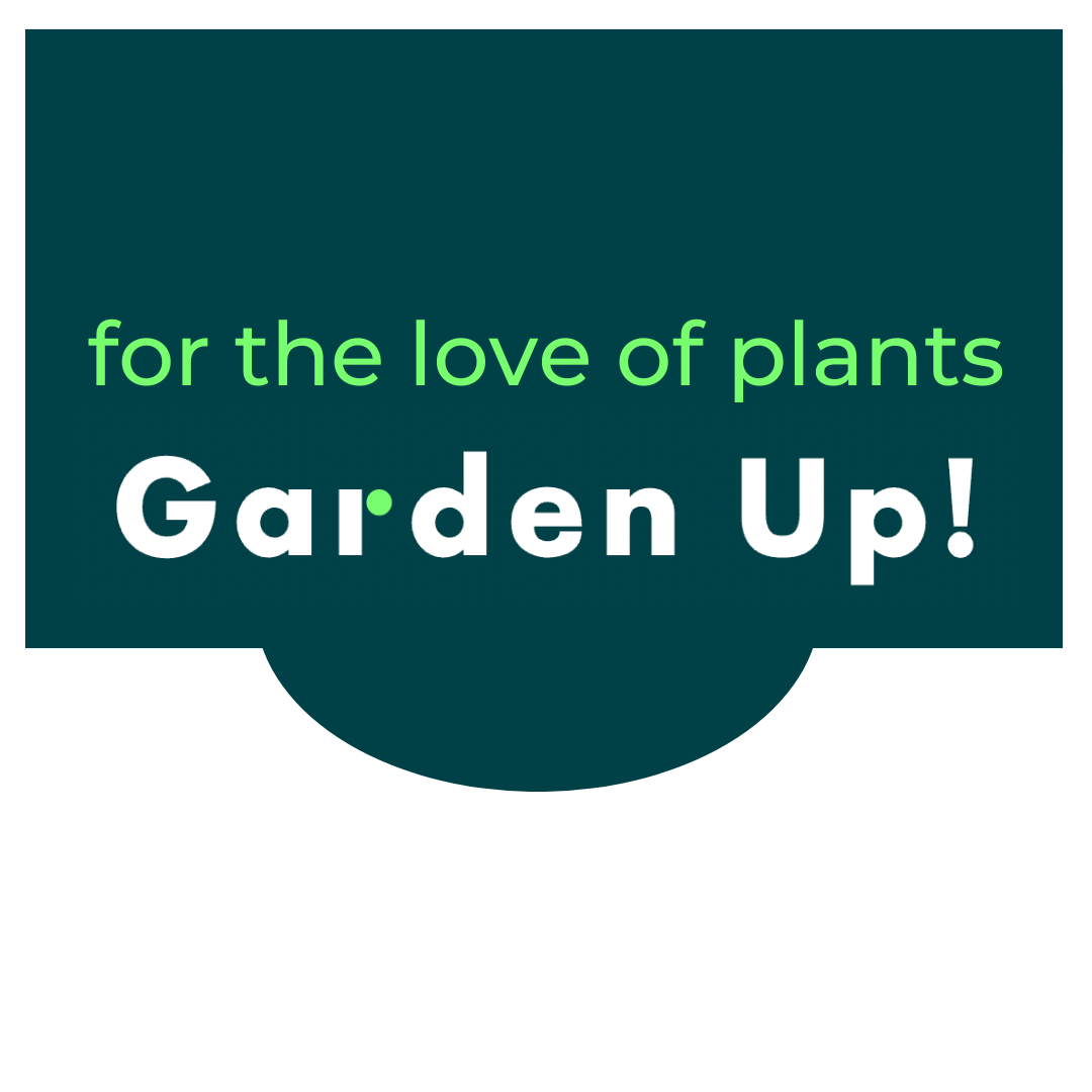 Landscape Contractors – Garden Up